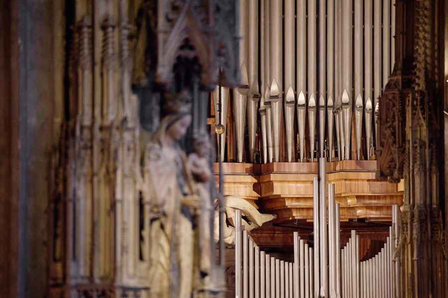 Giant-Organ-Concert at St. Stephen's Cathedral | Tickets
